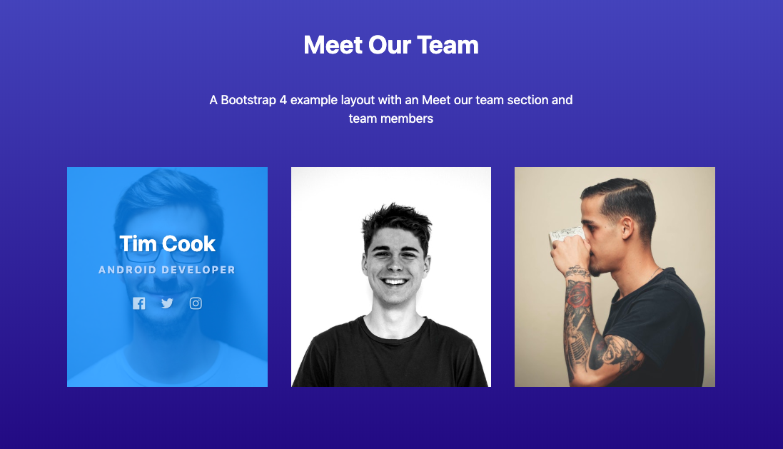 our-team Snippets Examples