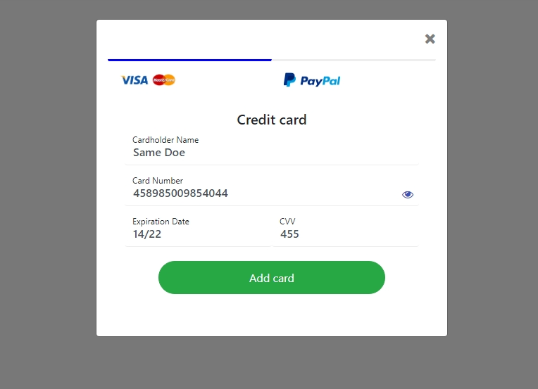 payment Snippets Examples