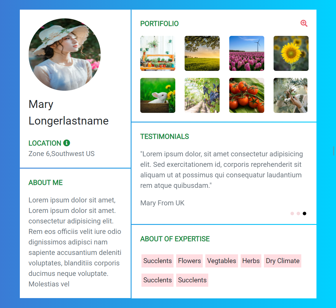 aboutus Snippets Examples
