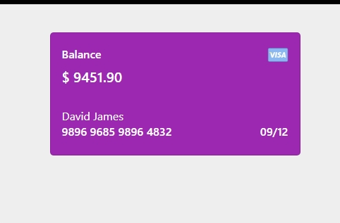 payment Snippets Examples