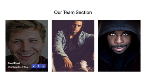Bootstrap 4 Team Members Showcase Example