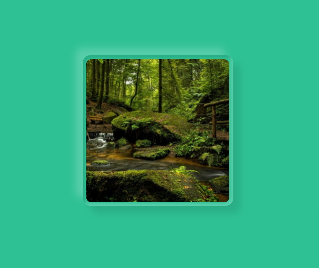 template Snippets Examples - page #2